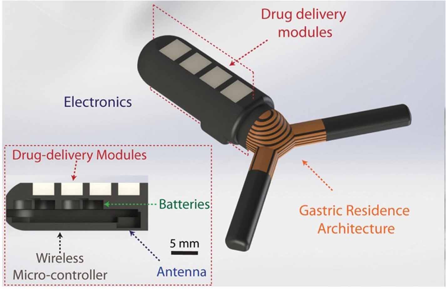 Ingestible devices for long-term gastrointestinal residency: a review ...
