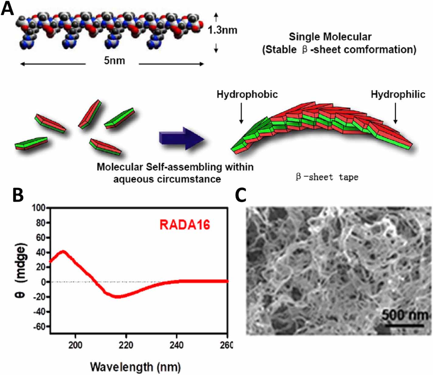 Protein based biomaterials for therapeutic and diagnostic applications ...