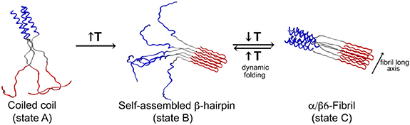 Protein based biomaterials for therapeutic and diagnostic applications ...
