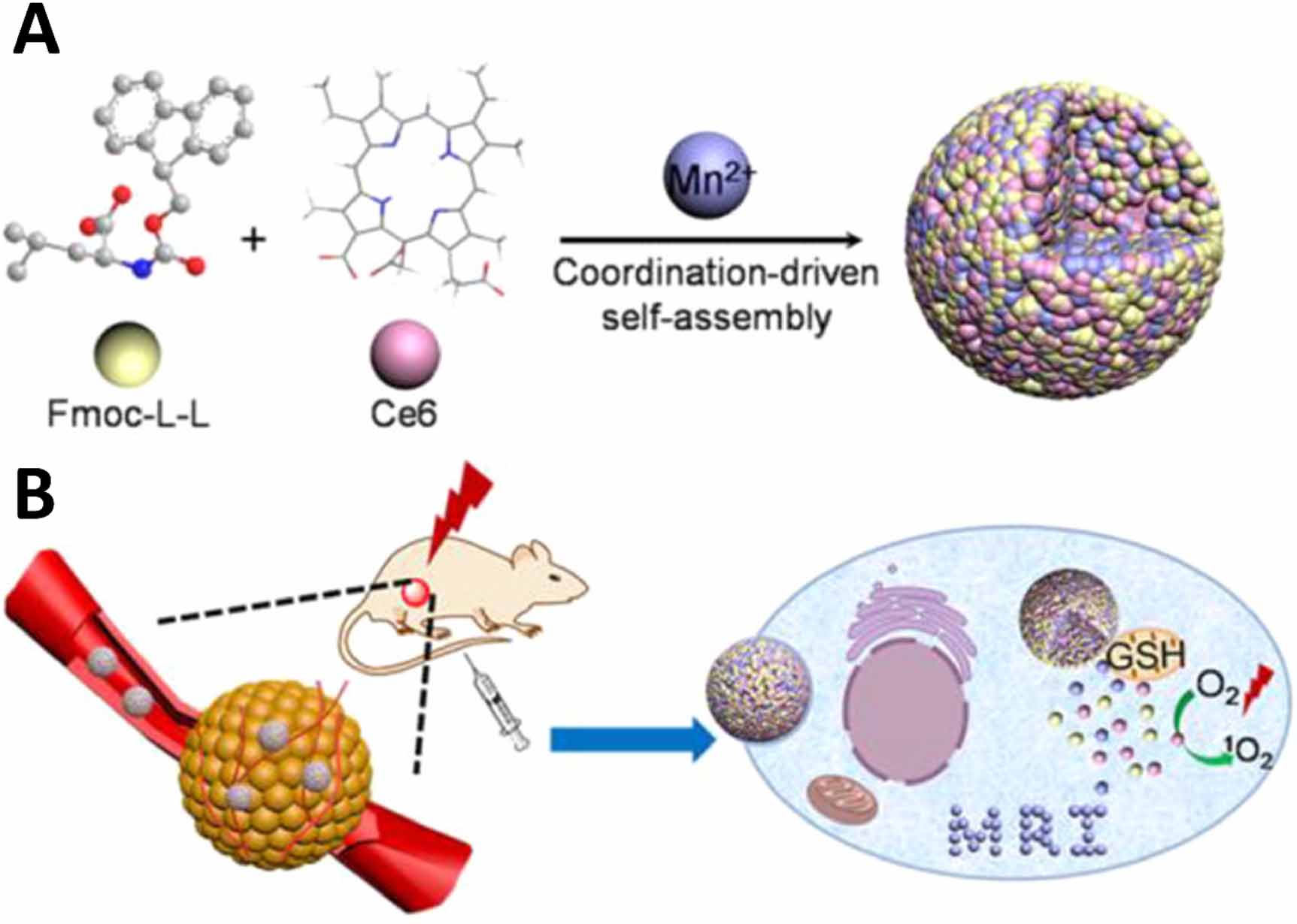 Protein based biomaterials for therapeutic and diagnostic applications ...