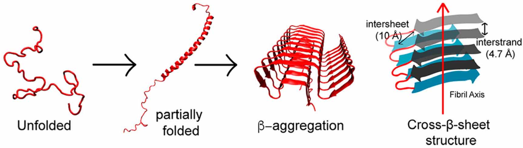 Protein based biomaterials for therapeutic and diagnostic applications ...