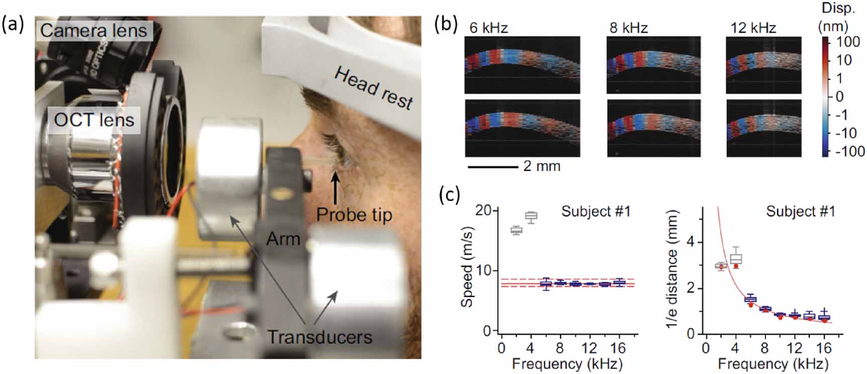 Wave-based optical coherence elastography: the 10-year perspective ...