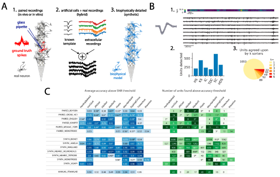 Spike sorting: new trends and challenges of the era of high-density ...