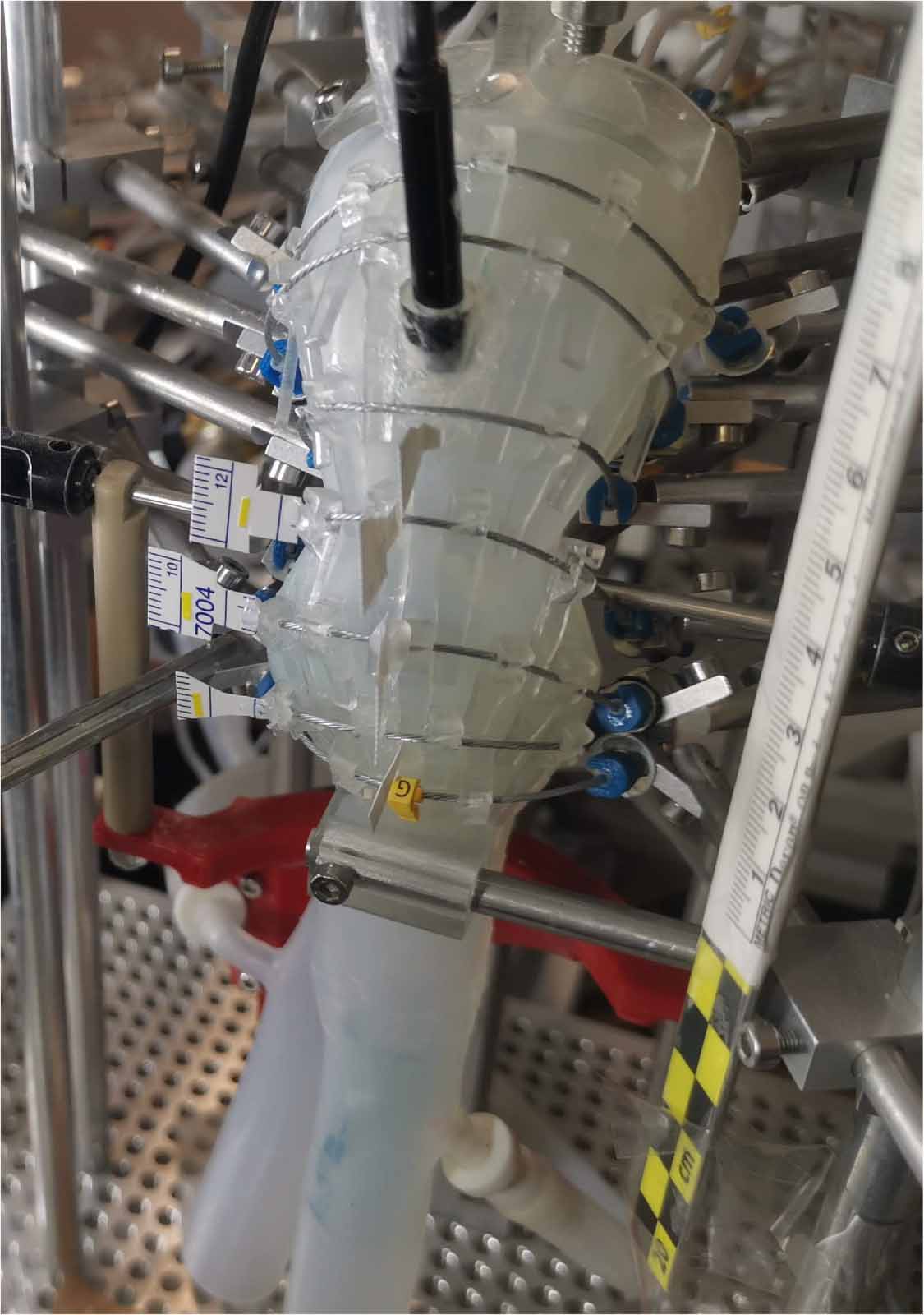 Soft robotics for physical simulators, artificial organs and ...