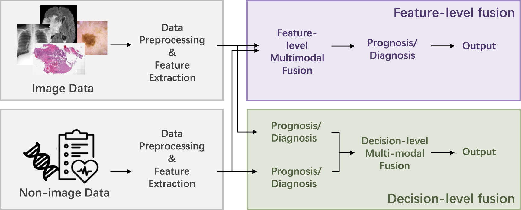 Deep multimodal fusion of image and non-image data in disease diagnosis ...