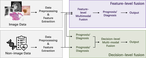 Deep multimodal fusion of image and non-image data in disease diagnosis ...