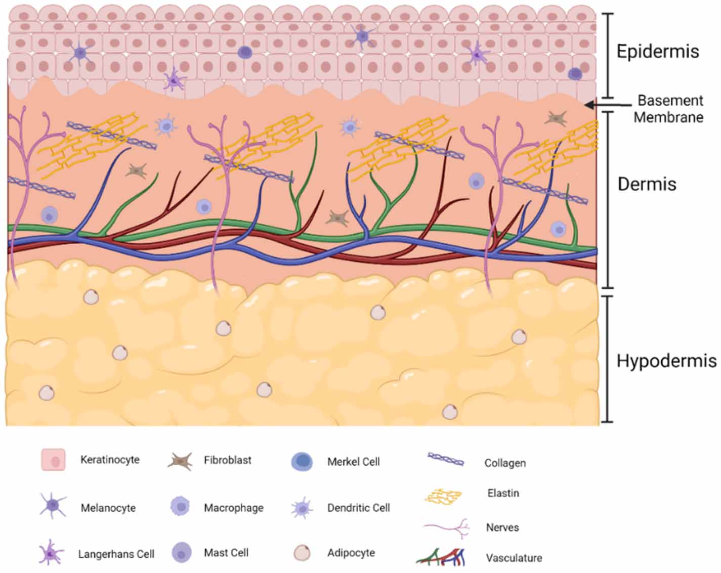 Point of care approaches to 3D bioprinting for wound healing ...