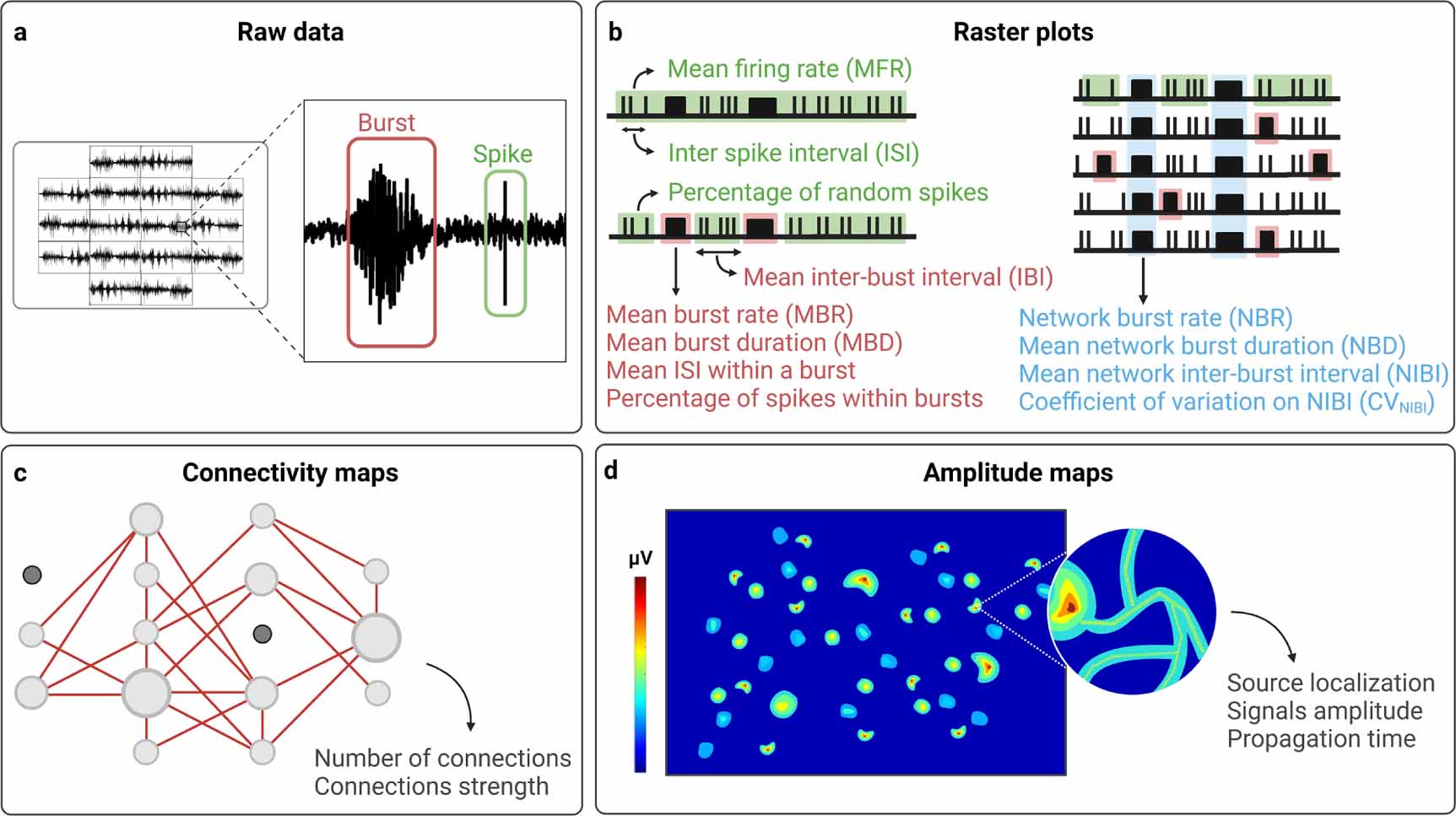 The potential of in vitro neuronal networks cultured on micro electrode ...