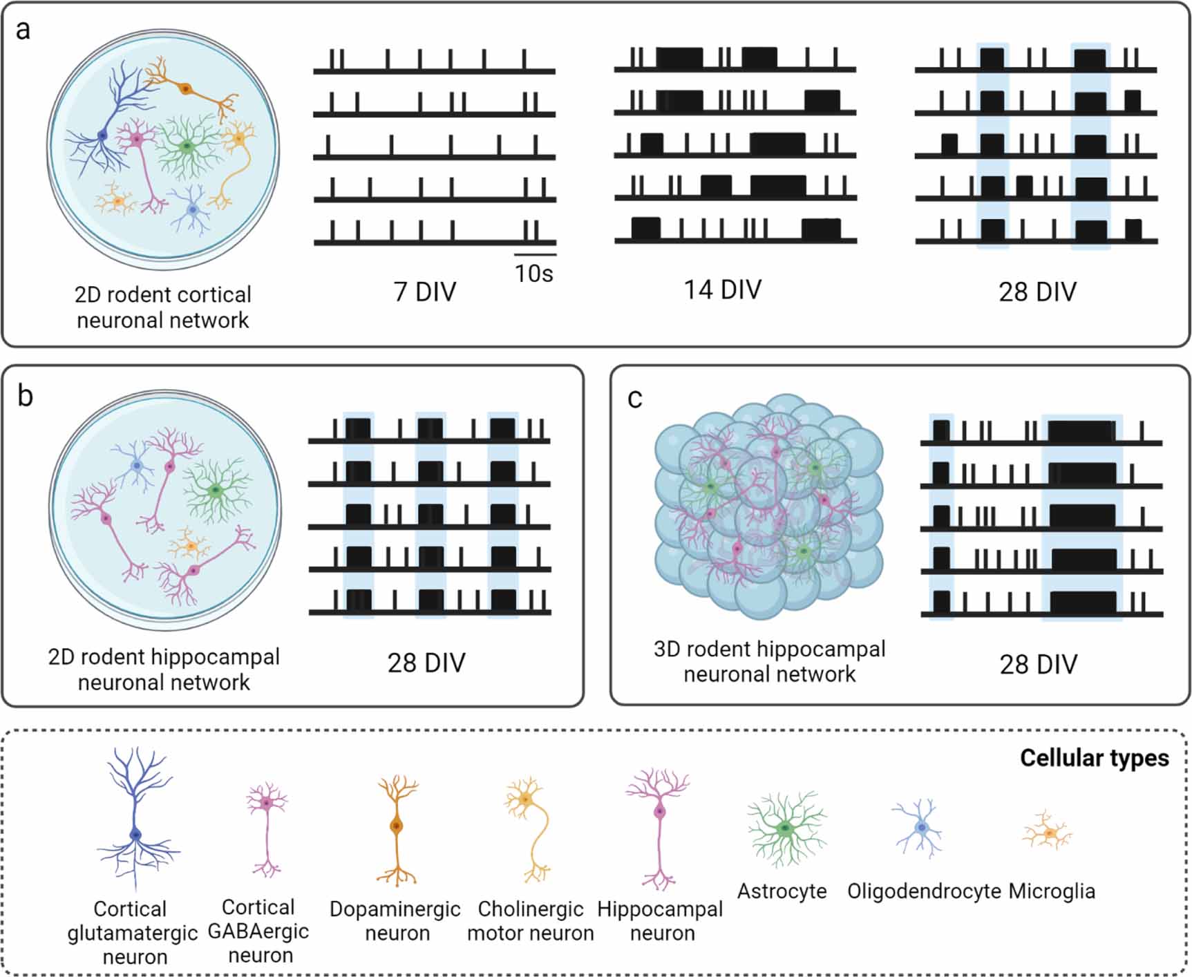 The potential of in vitro neuronal networks cultured on micro electrode ...