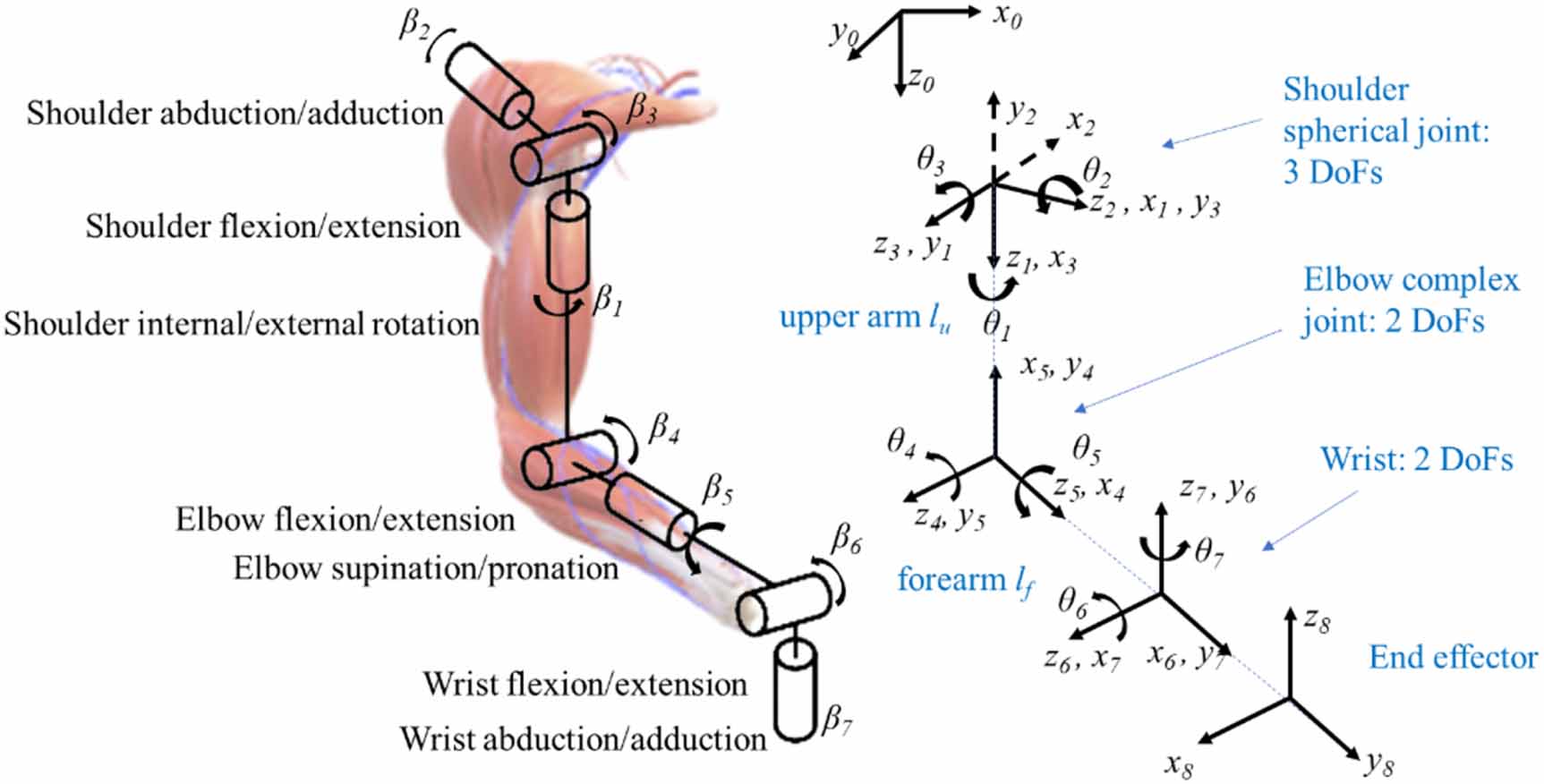 Wearable upper limb robotics for pervasive health: a review - IOPscience