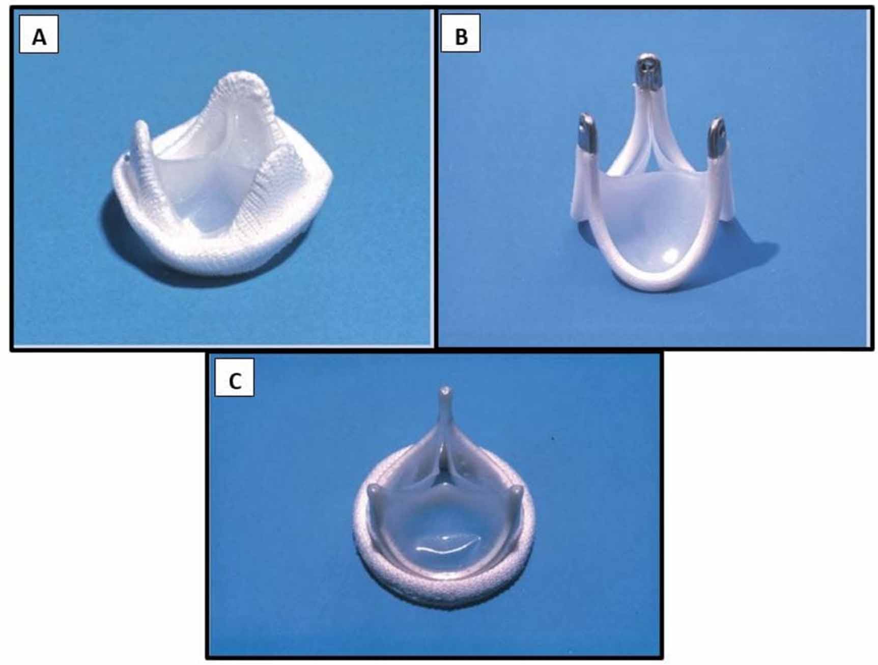 Updates on polyurethane and its multifunctional applications in ...
