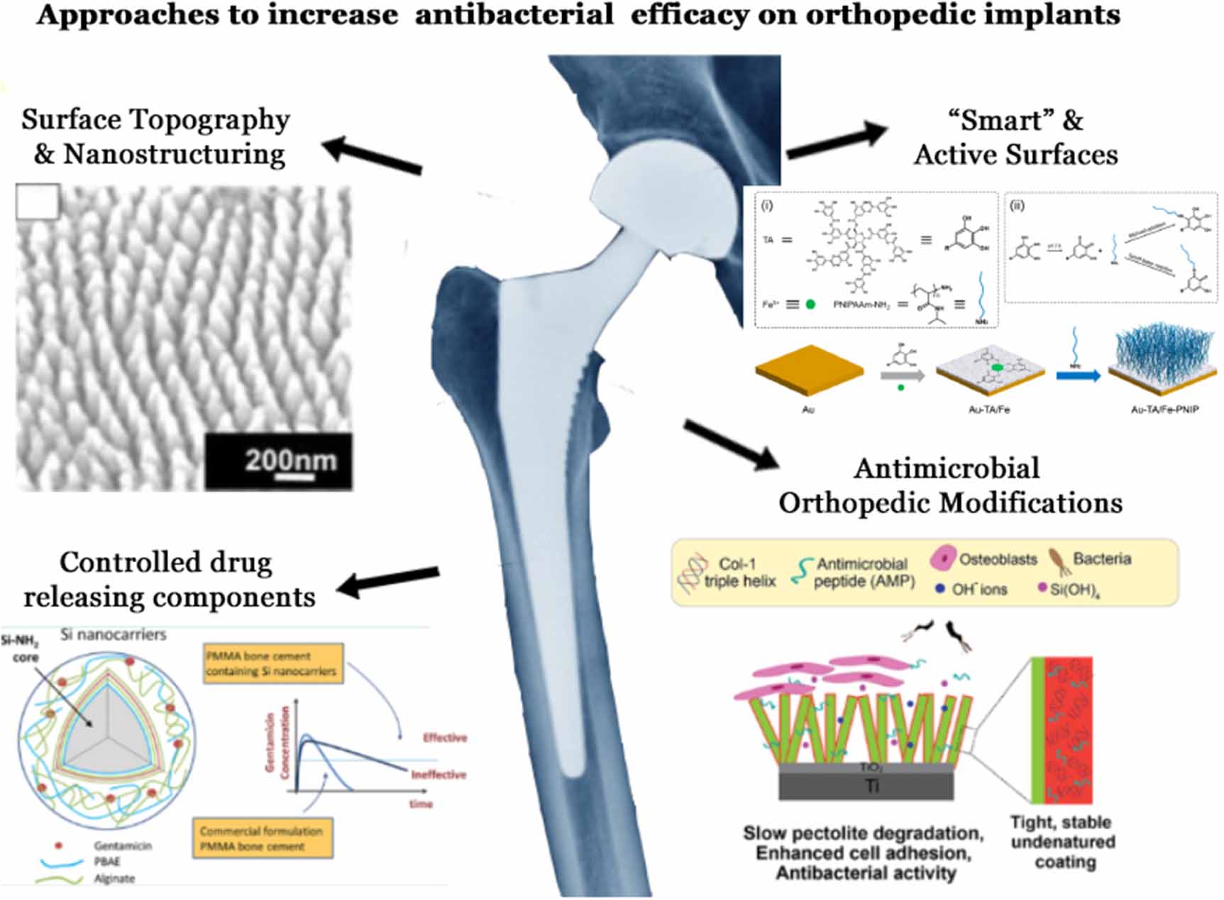 Advances in antimicrobial orthopaedic devices and FDA regulatory ...