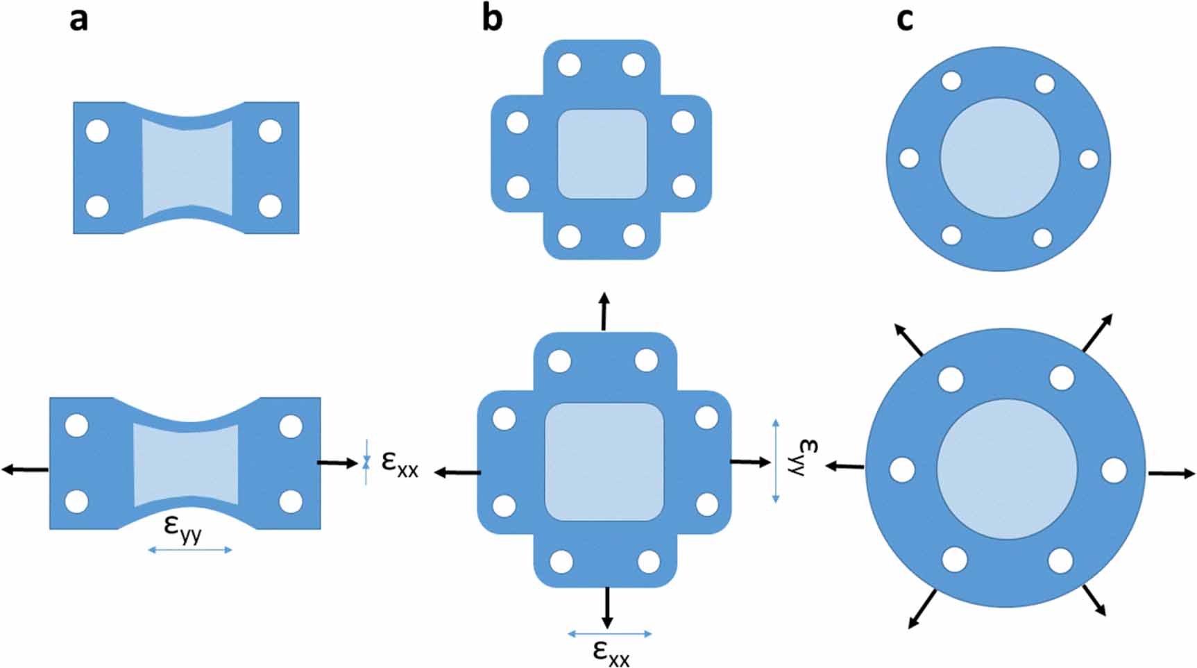 Cell stretching devices integrated with live cell imaging: a powerful ...
