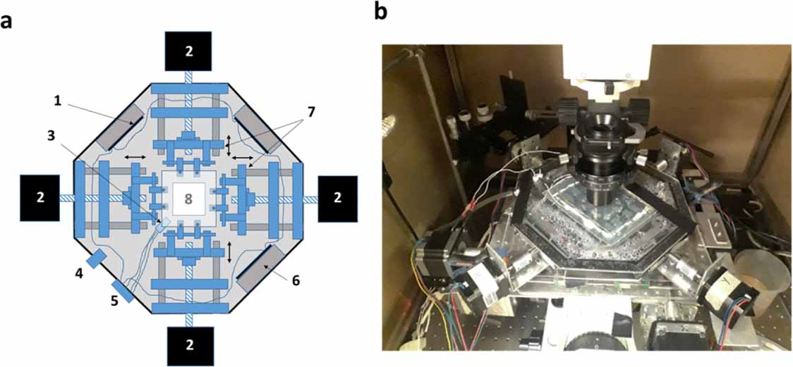 Cell stretching devices integrated with live cell imaging: a powerful ...