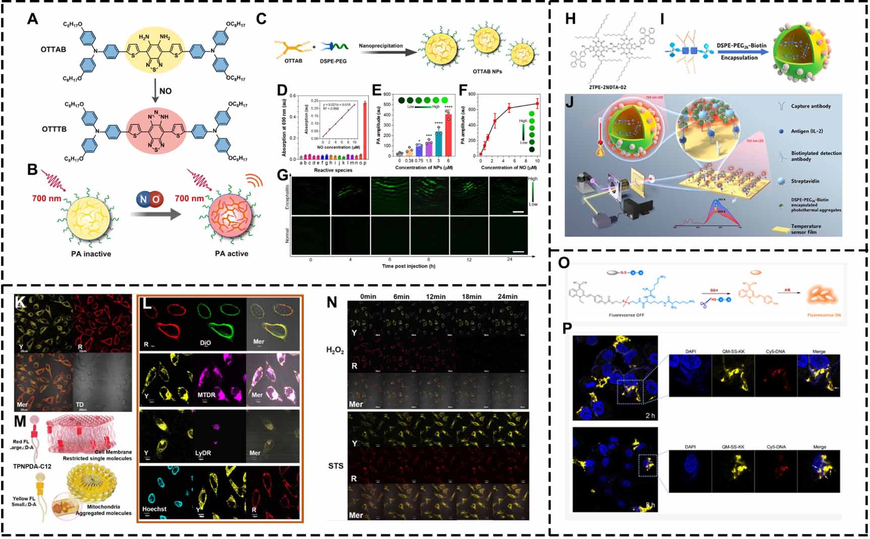 Biomedical applications of the engineered AIEgen-lipid nanostructure in ...