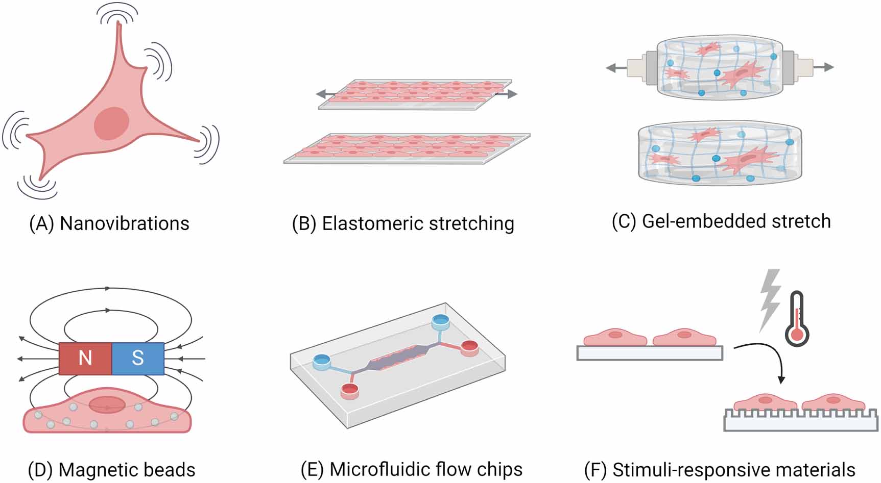 Dynamic mechanical cell actuation techniques: a comprehensive ...