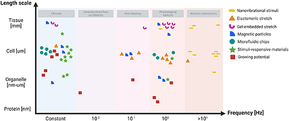 Dynamic mechanical cell actuation techniques: a comprehensive ...