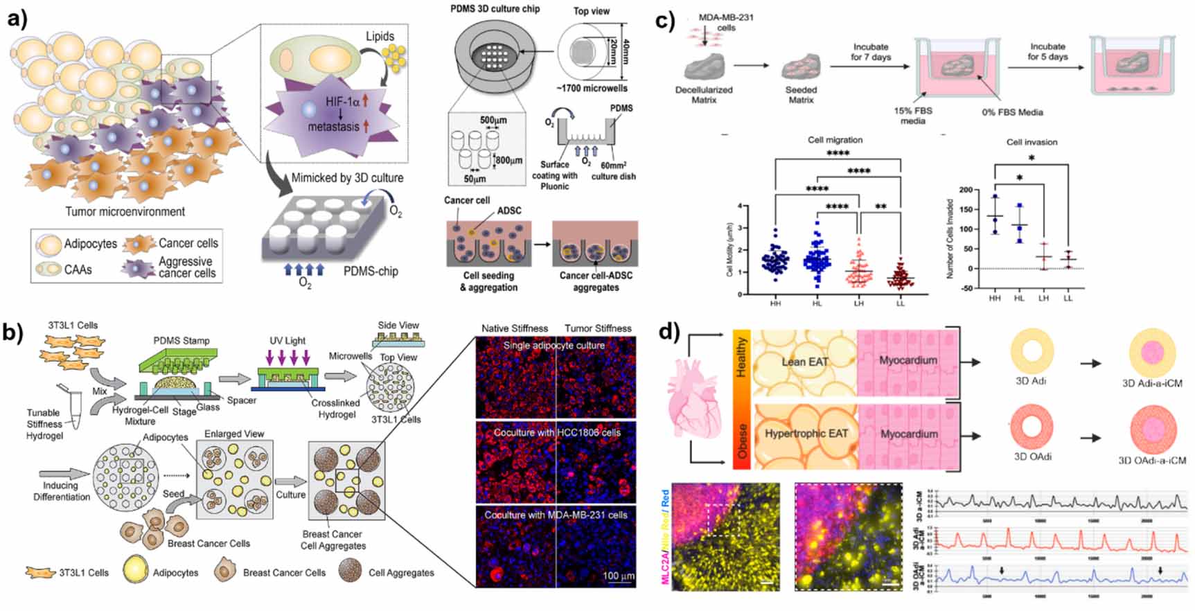 Tissue engineered models of adipose tissue dysfunction to investigate ...