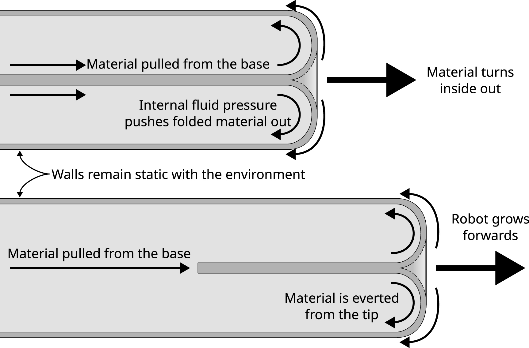 State of the art in soft eversion robots for colonoscopy: a review ...