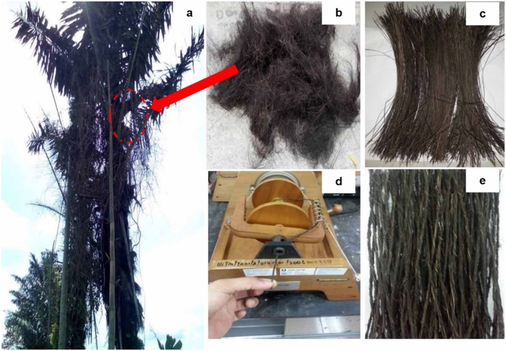 Treatments of natural fiber as reinforcement in polymer composites—a ...