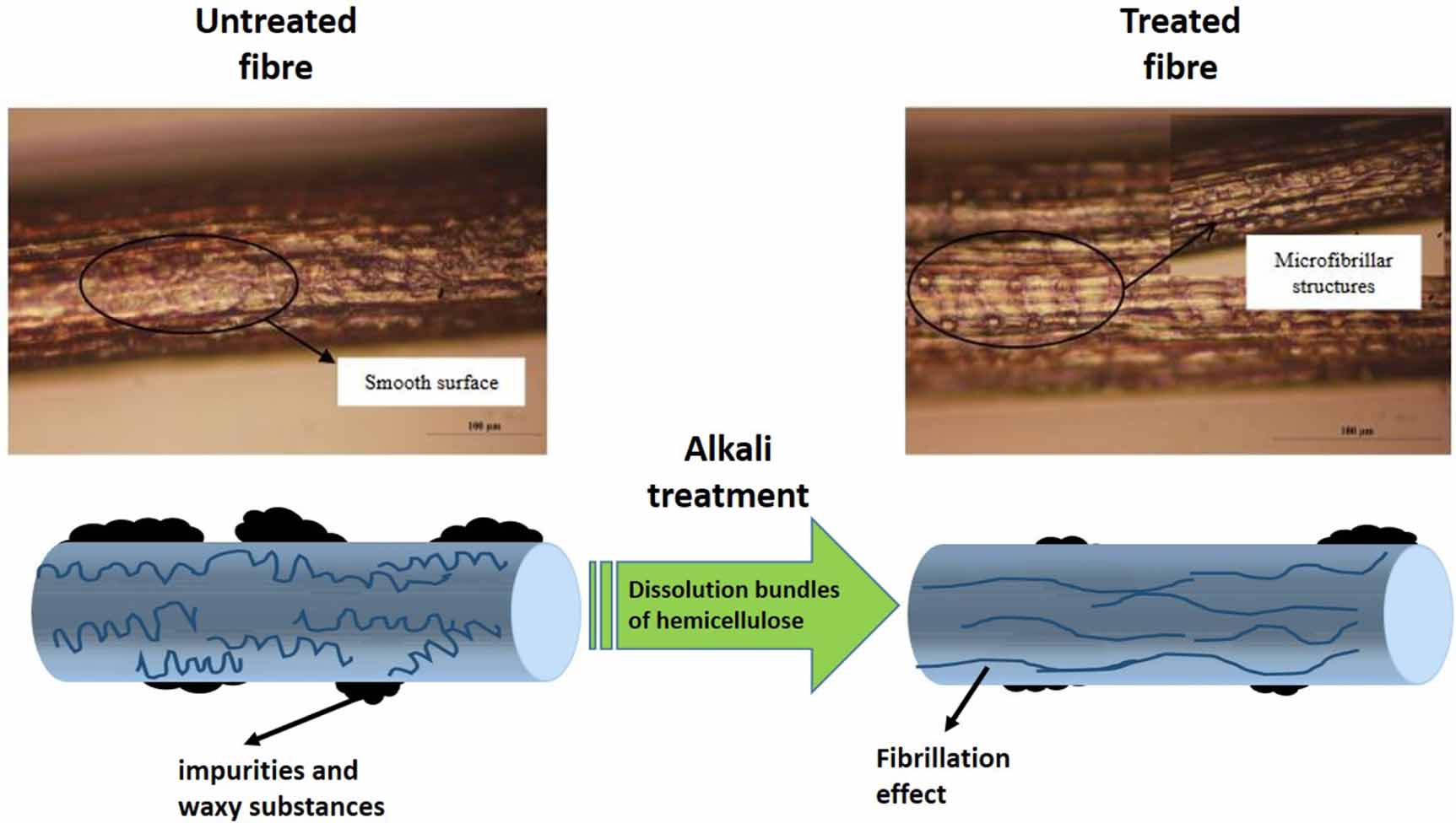 Treatments of natural fiber as reinforcement in polymer composites—a ...