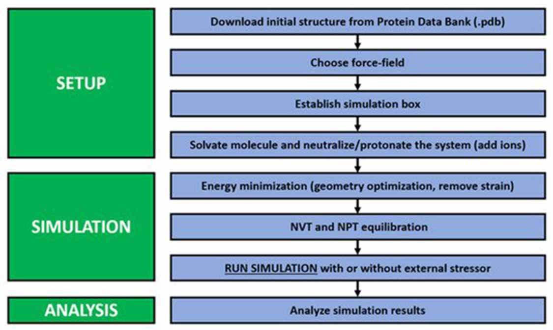 A review on mechanical and material characterisation through molecular ...