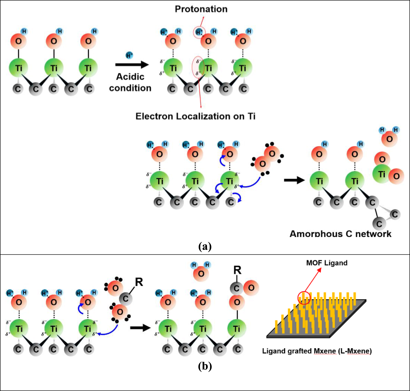 Fabrication of MOF@MXene composites via surface modification of MXene ...