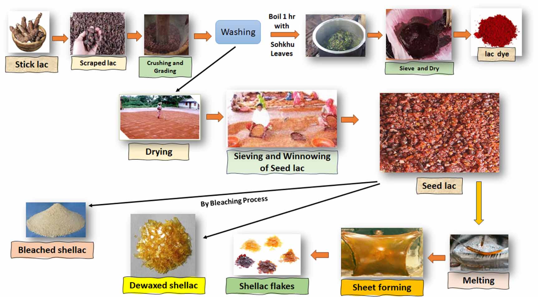 Harnessing shellac for sustainable materials: progress from traditional ...