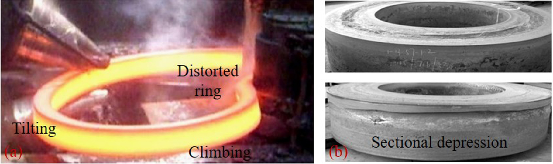 Developments and perspectives on the precision forming processes for ...