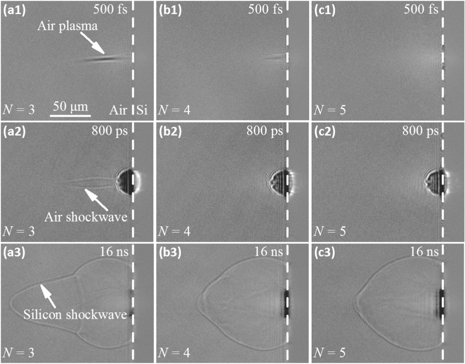 Ultrafast dynamics observation during femtosecond laser-material ...