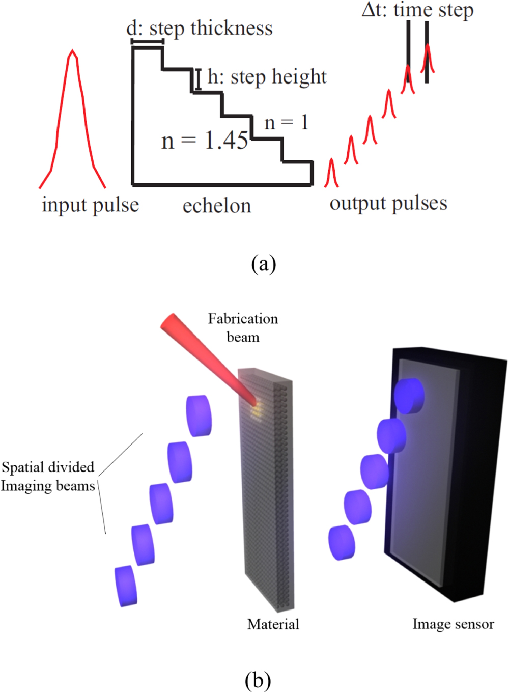 Ultrafast dynamics observation during femtosecond laser-material ...