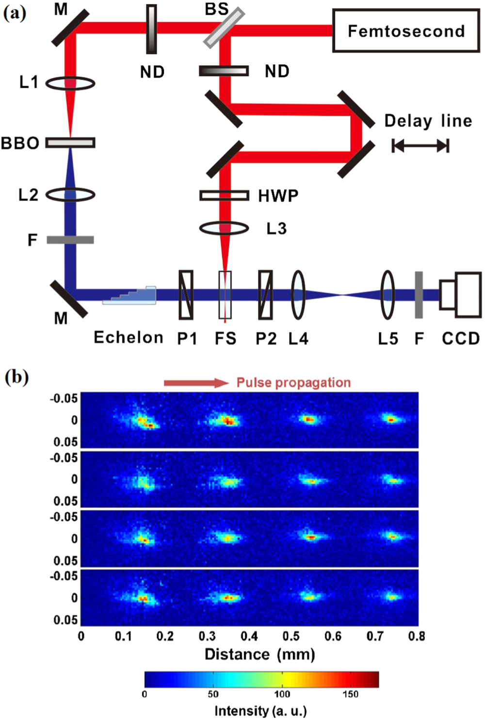 Ultrafast dynamics observation during femtosecond laser-material ...