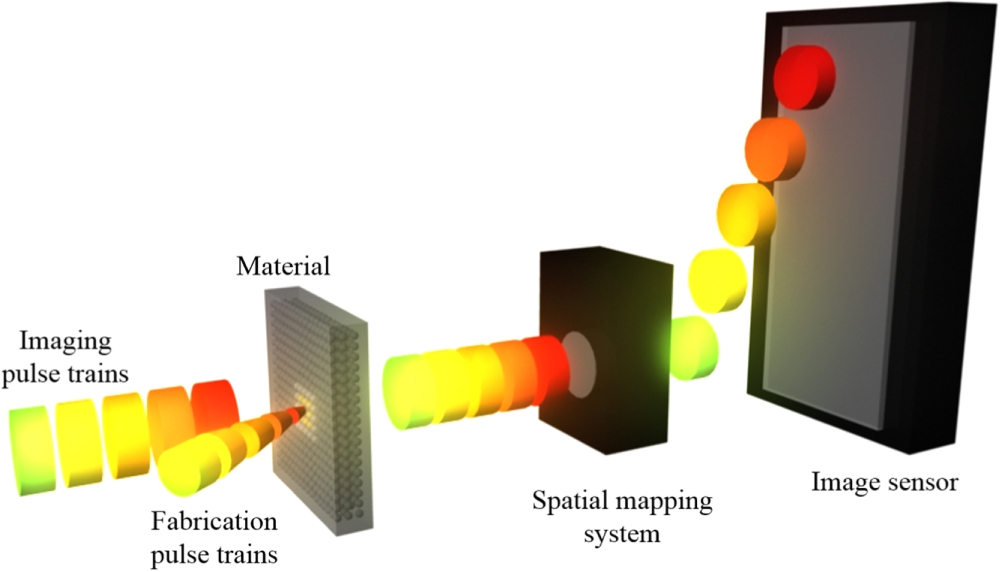 Ultrafast dynamics observation during femtosecond laser-material ...