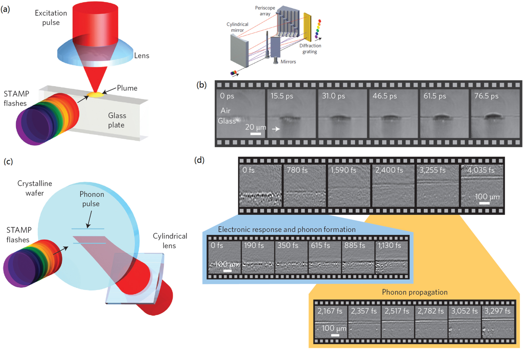 Ultrafast dynamics observation during femtosecond laser-material ...
