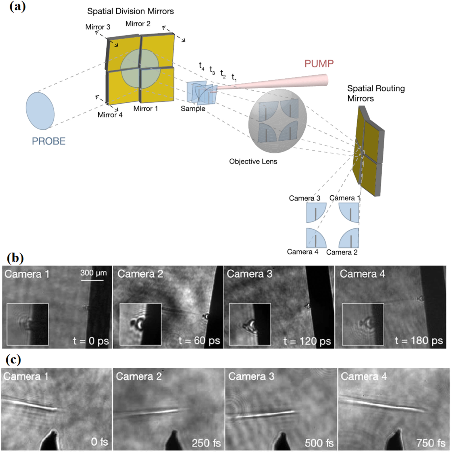 Ultrafast dynamics observation during femtosecond laser-material ...