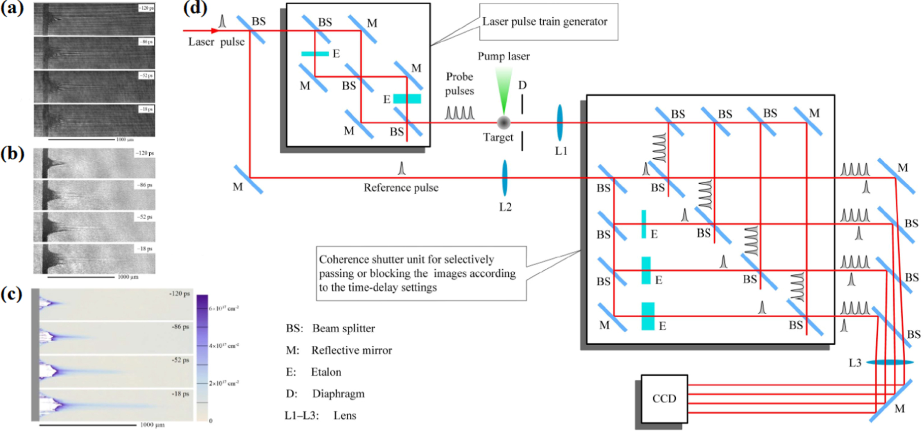Ultrafast dynamics observation during femtosecond laser-material ...