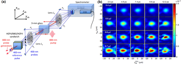 Ultrafast dynamics observation during femtosecond laser-material ...