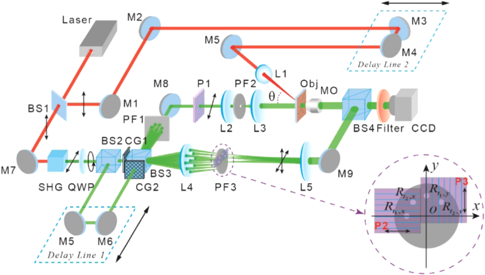 Ultrafast dynamics observation during femtosecond laser-material ...