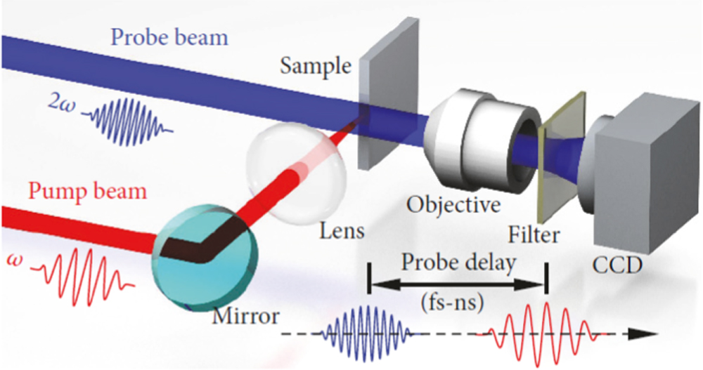 Ultrafast dynamics observation during femtosecond laser-material ...