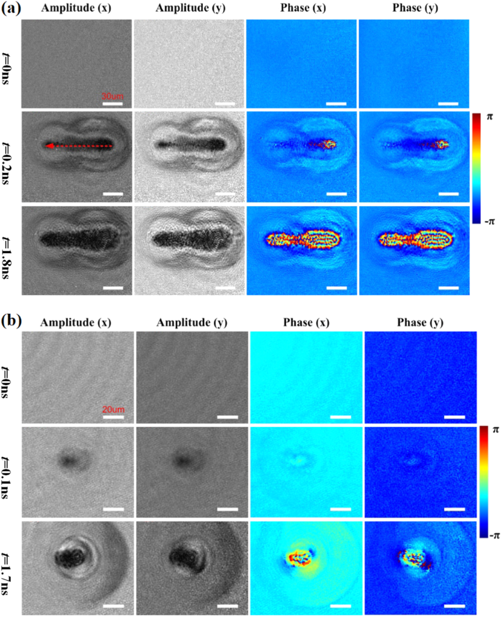 Ultrafast dynamics observation during femtosecond laser-material ...