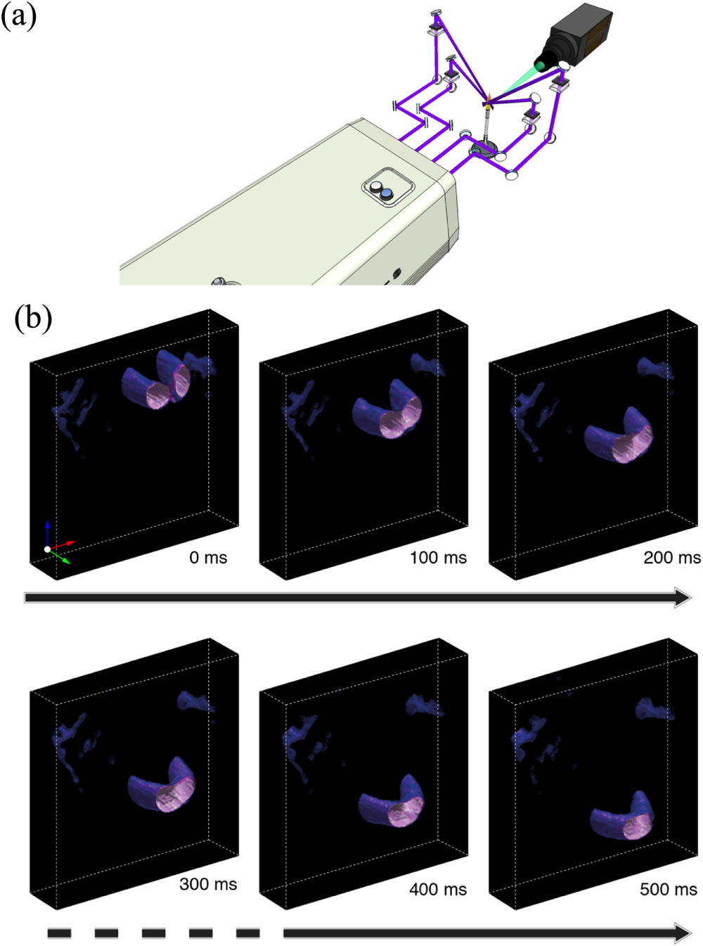 Ultrafast dynamics observation during femtosecond laser-material ...