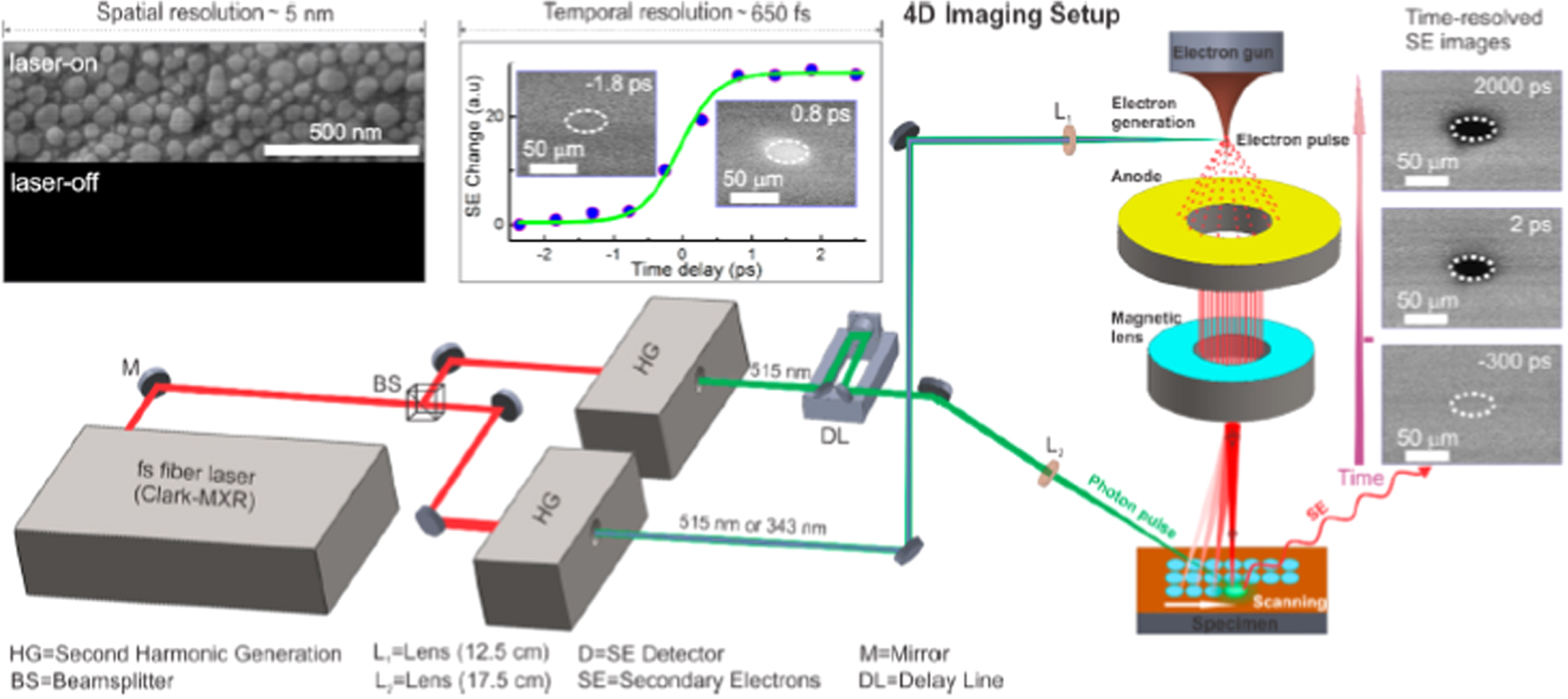 Ultrafast dynamics observation during femtosecond laser-material ...