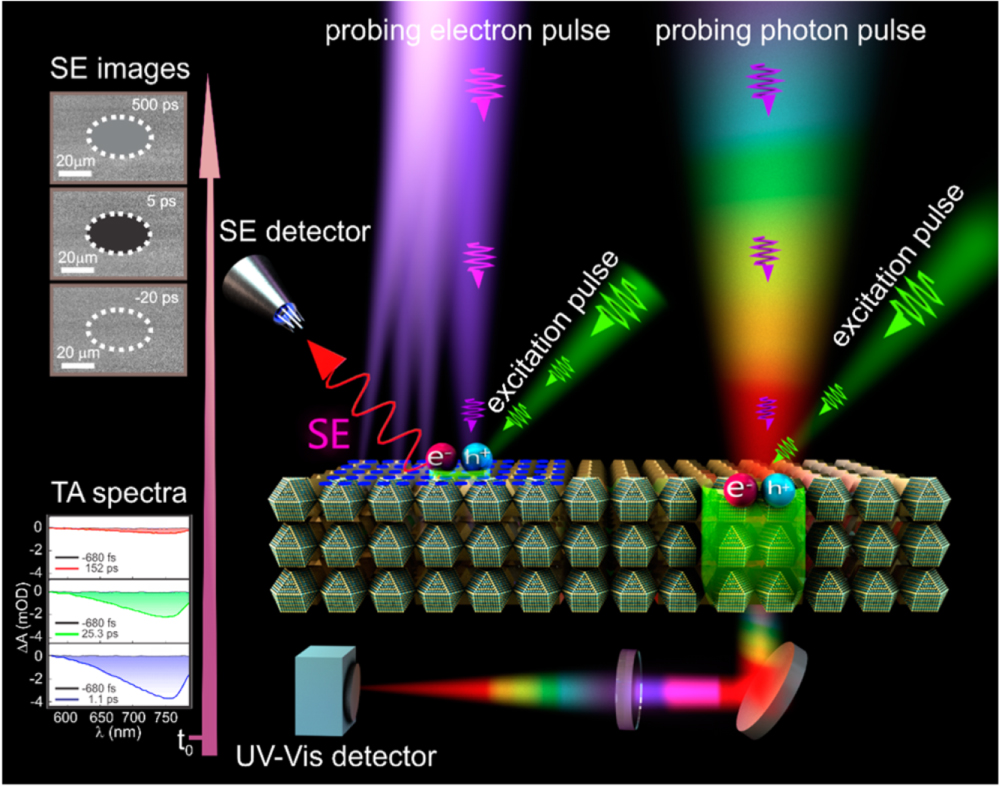 Ultrafast dynamics observation during femtosecond laser-material interaction - IOPscience