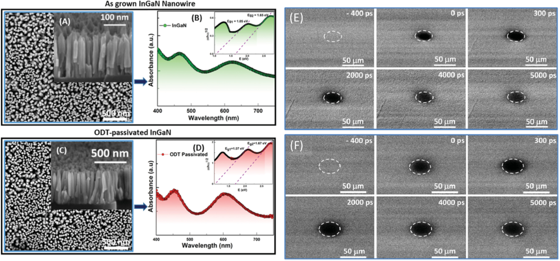 Ultrafast dynamics observation during femtosecond laser-material ...