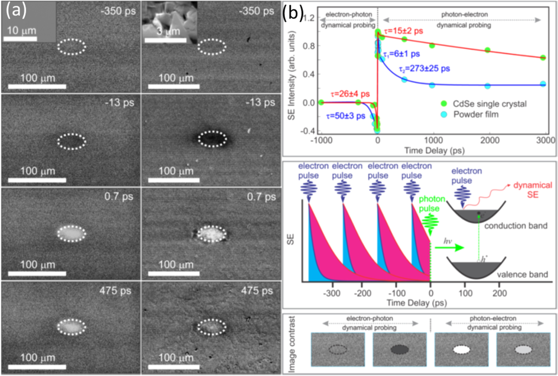 Ultrafast dynamics observation during femtosecond laser-material ...