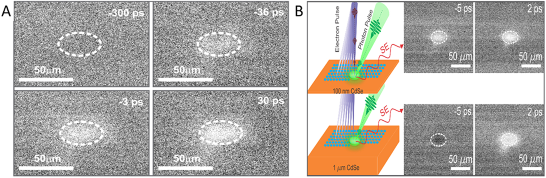 Ultrafast dynamics observation during femtosecond laser-material ...