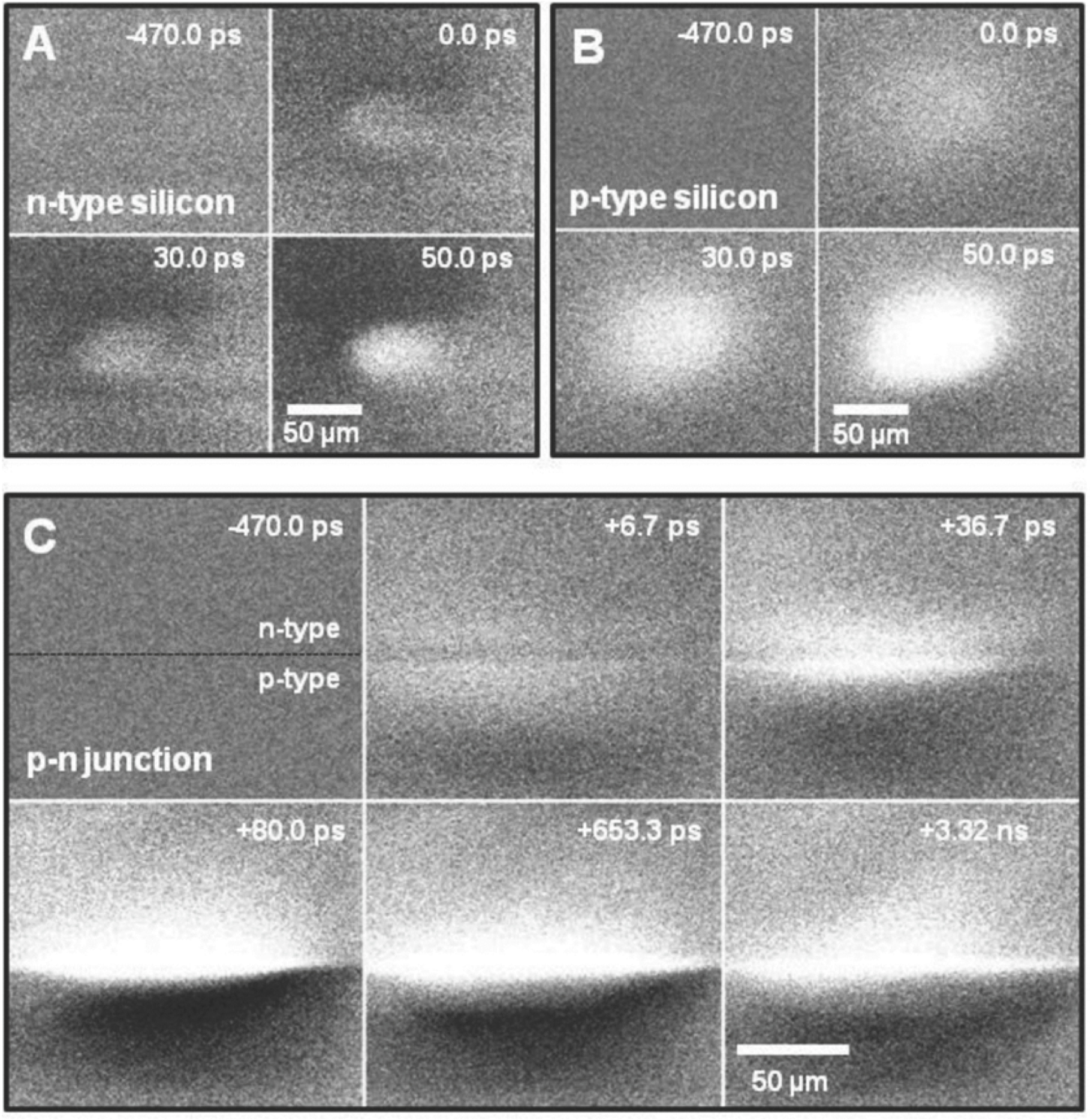 Ultrafast dynamics observation during femtosecond laser-material ...