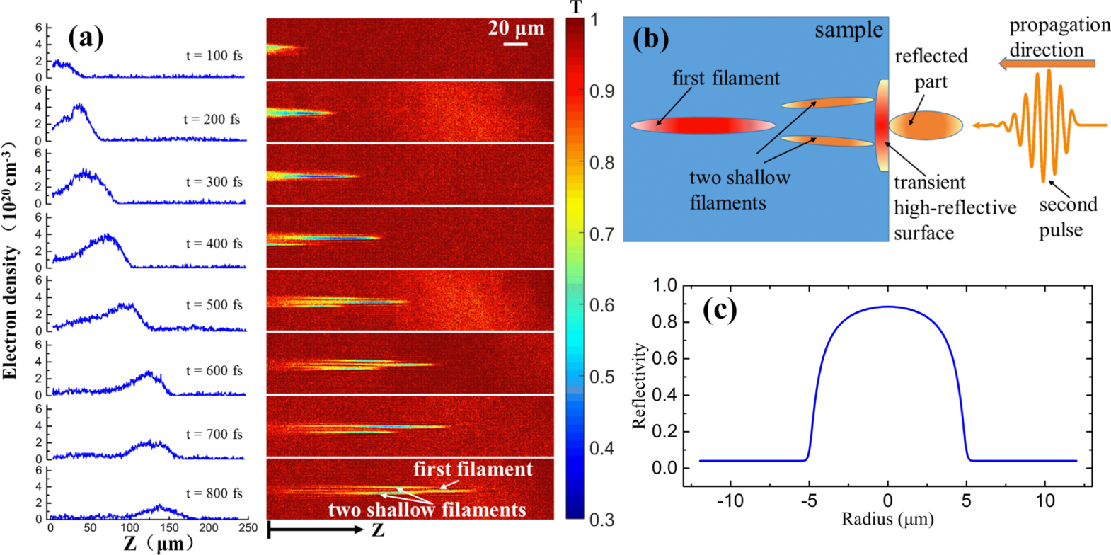 Ultrafast dynamics observation during femtosecond laser-material ...