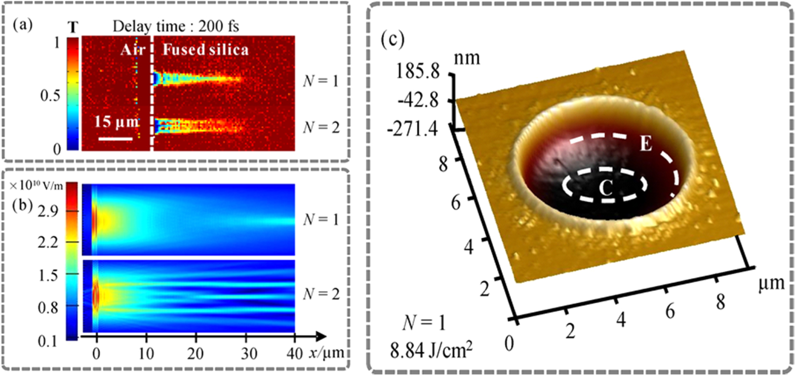 Ultrafast dynamics observation during femtosecond laser-material ...