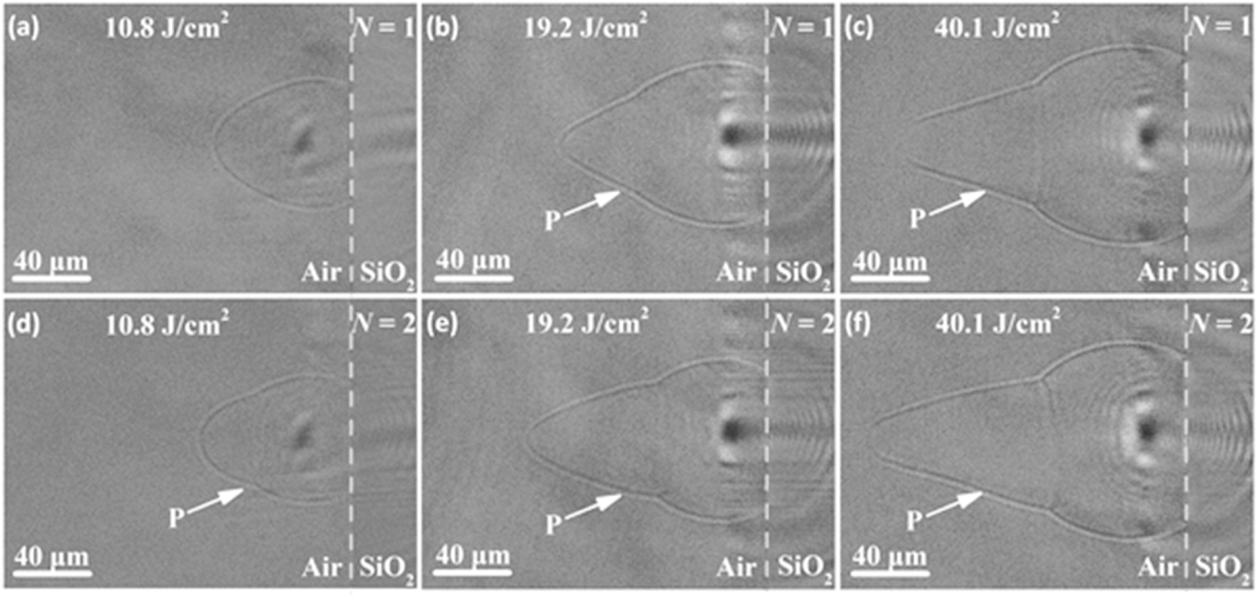 Ultrafast dynamics observation during femtosecond laser-material ...